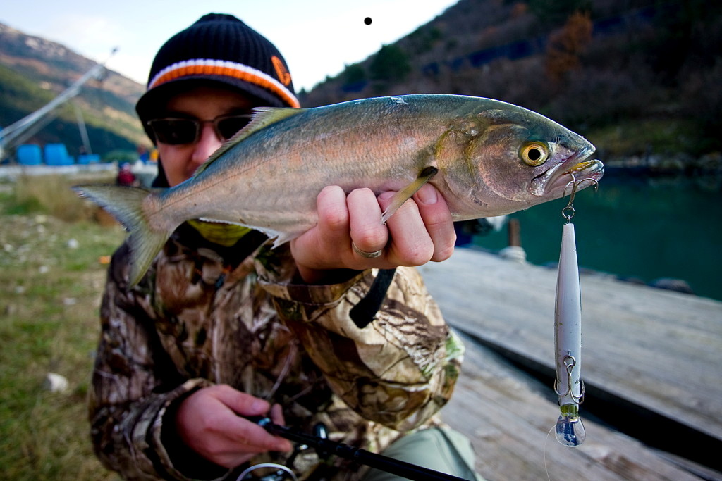 Fishing In Croatia (and in the neighbourhood): Bluefish from the Adriatic