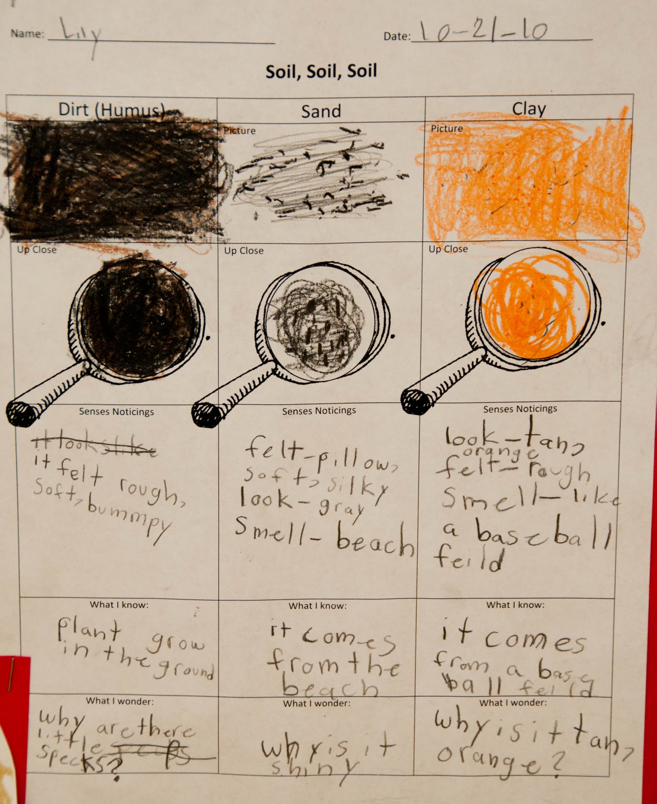 Showcasing Student Success: 1st Grade - Science Bulletin Board
