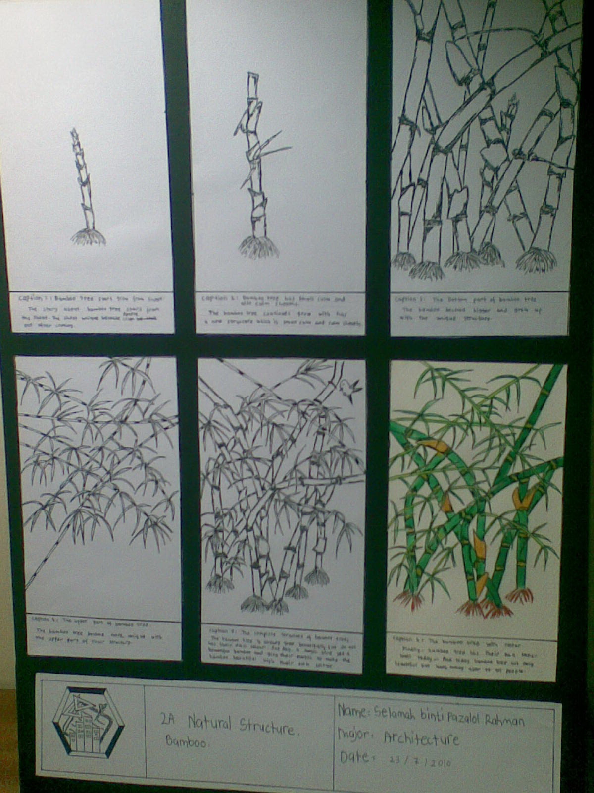 Populer 28+ Lukisan Pokok