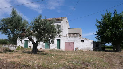papavero di campo: Una tipica casa contadina abruzzese