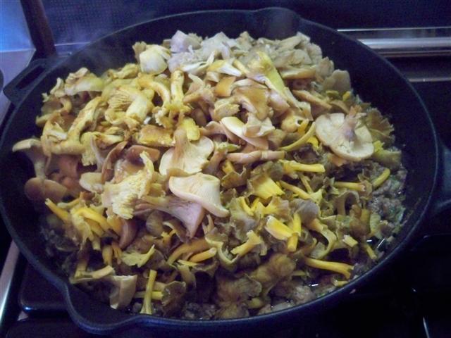 papavero di campo: Ragù di carne e misto di funghi alla sapienza ...