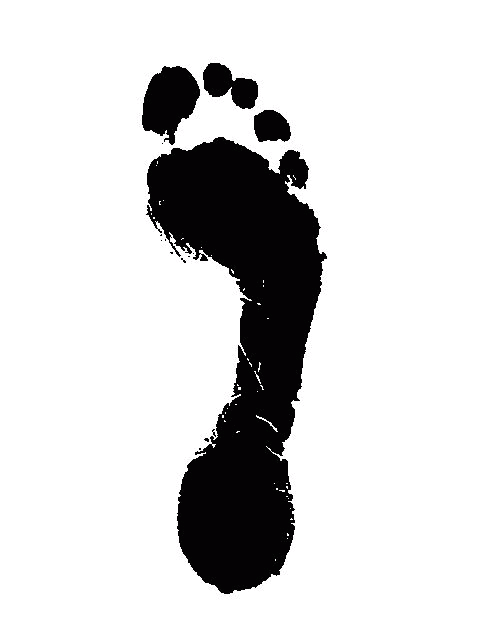 Local Management for Climate Change Response: Carbon toe-prints or ...