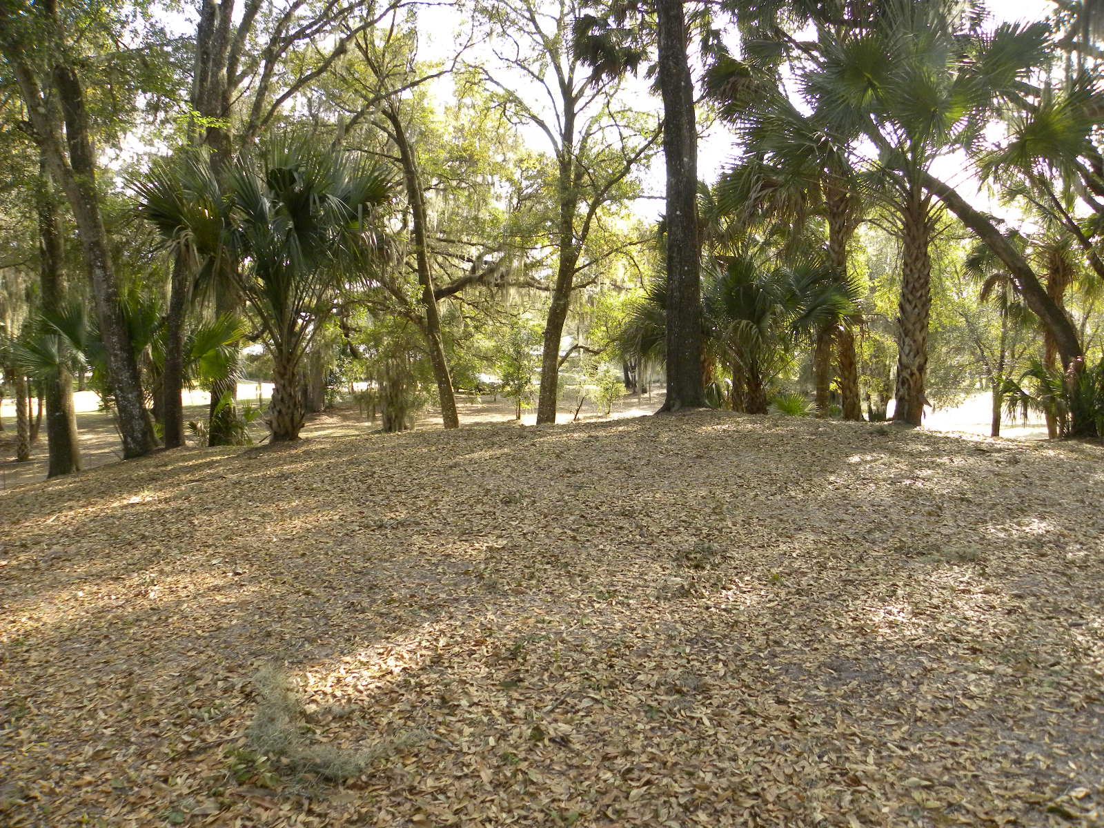 My Secrets for Happiness: The Mount Royal Site, Florida