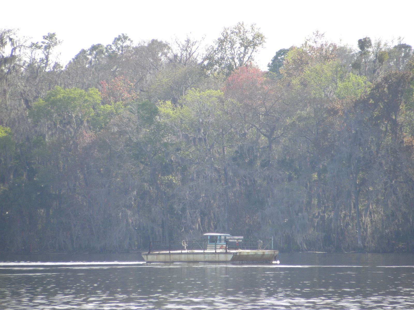 My Secrets for Happiness: Fort Gates Ferry, Florida