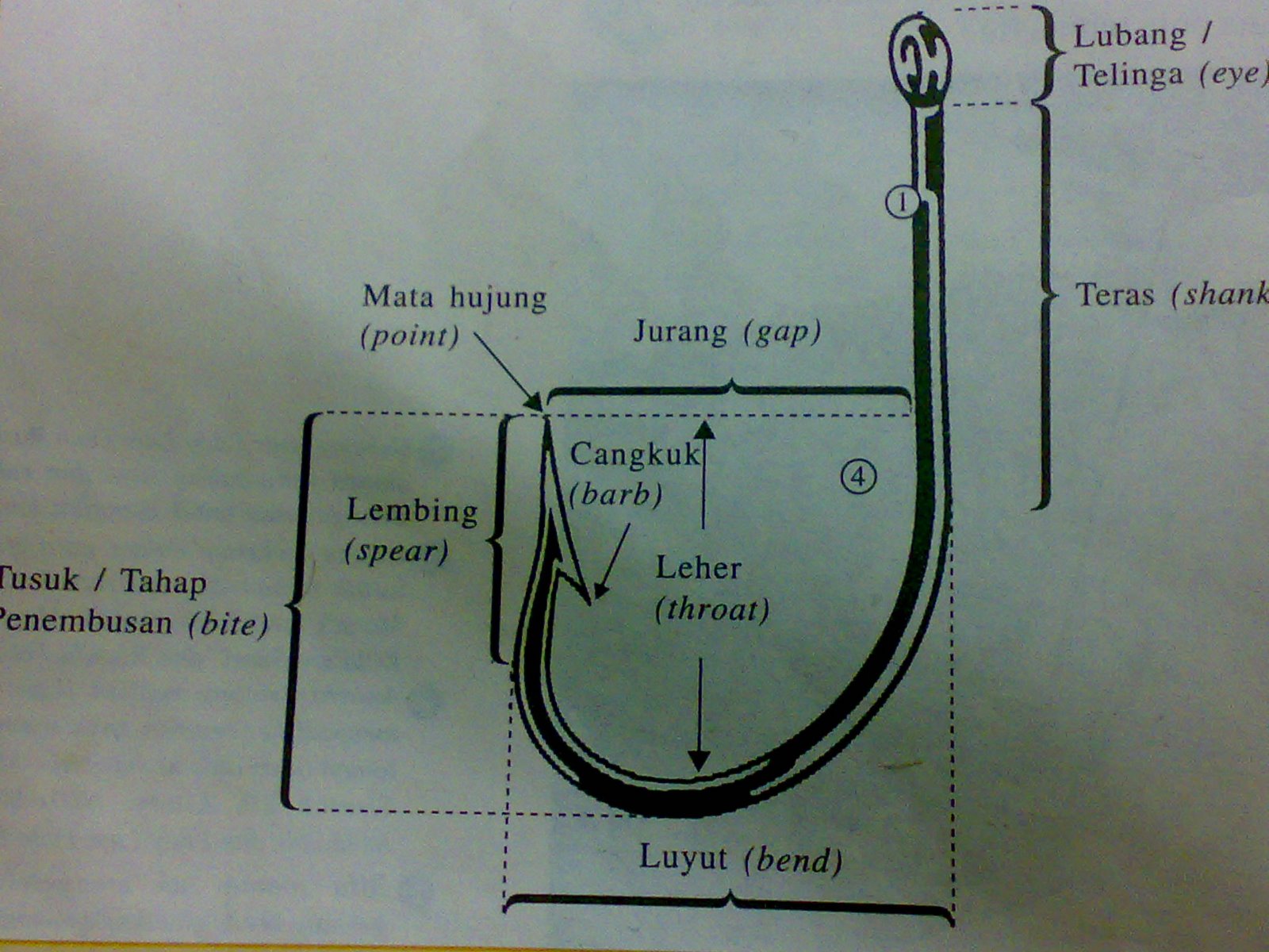 JOMNGAIL: FUNGSI DAN ASAS MATA KAIL.