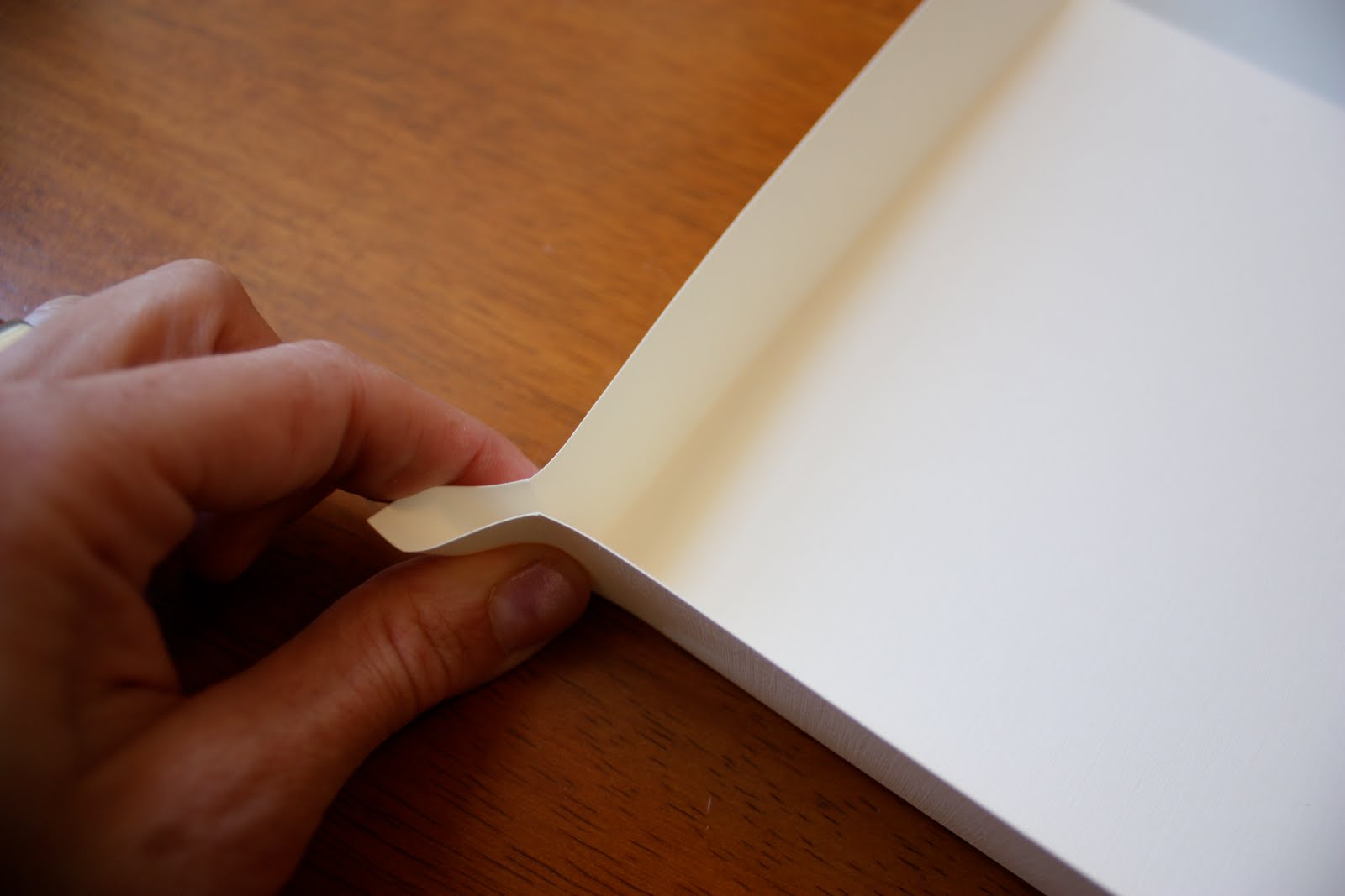 Paper Tray Tutorial - Live Free Creative Co