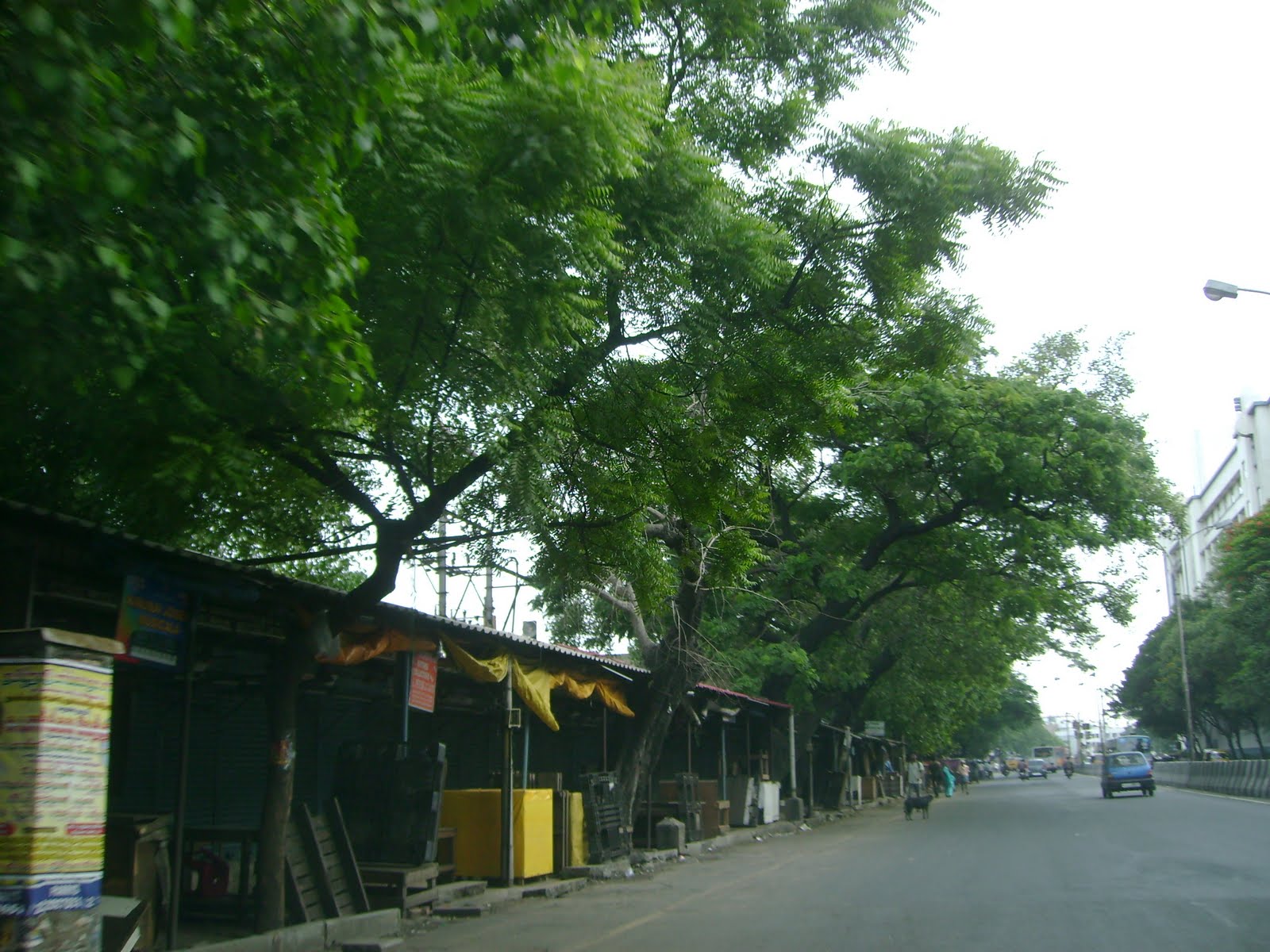Chennai City Pictures: Burma Bazaar Chennai