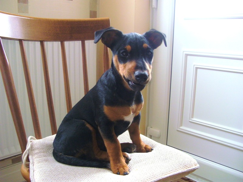 PATTERJACK TALES: August 2010