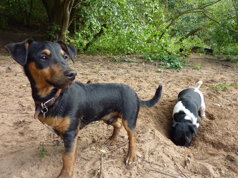 PATTERJACK TALES: UPDATE