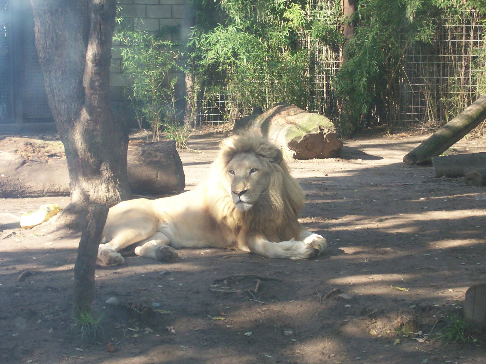 Alumnos del Súyay: Visita al Zoológico