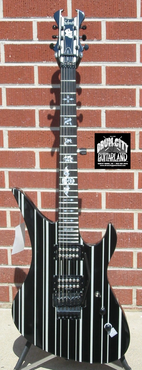 SCHECTER_GUITAR_CUSTOM