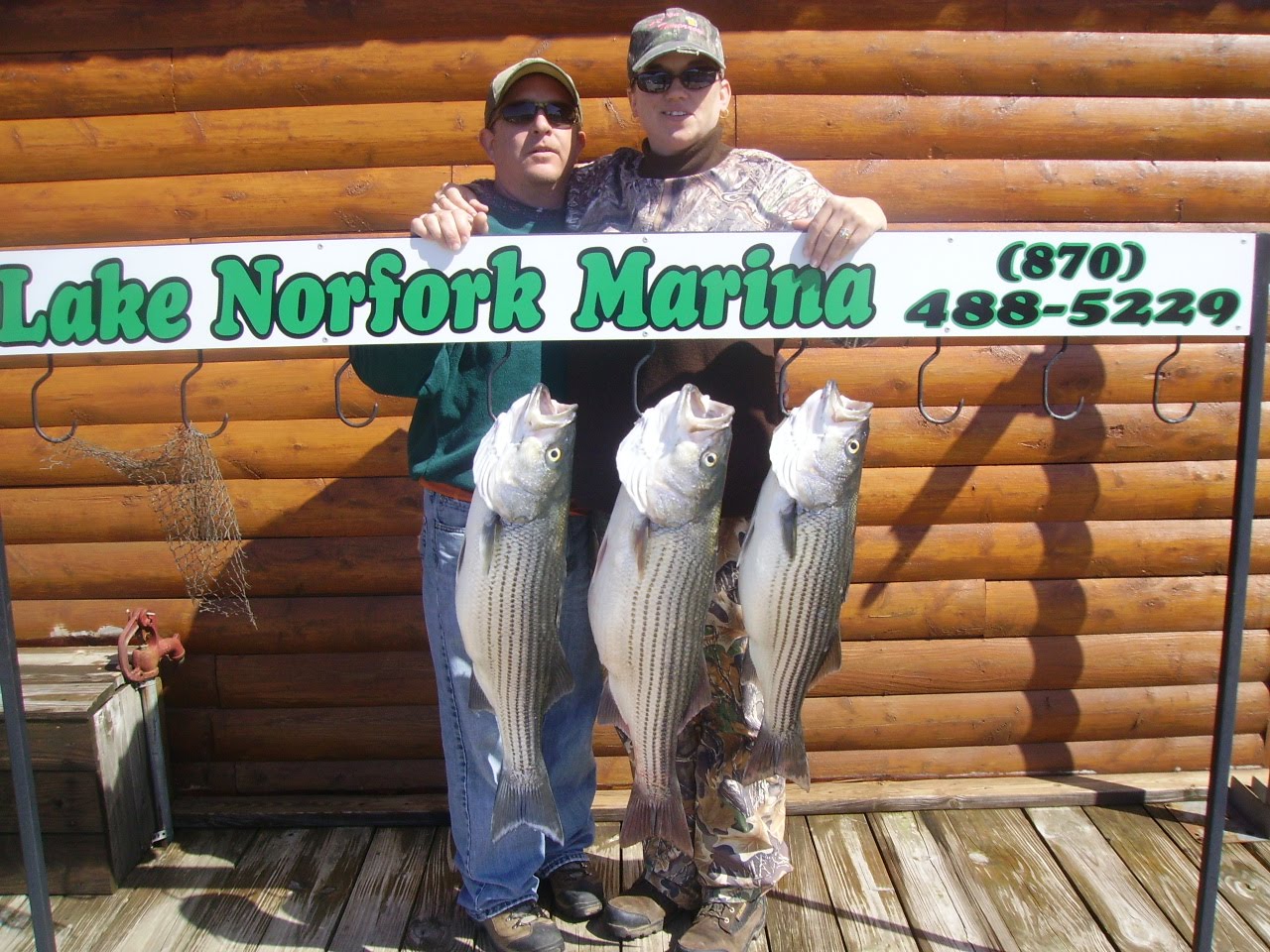 Hummingbird Hideaway Resort on Norfork Lake: Norfork Lake Fishing Report