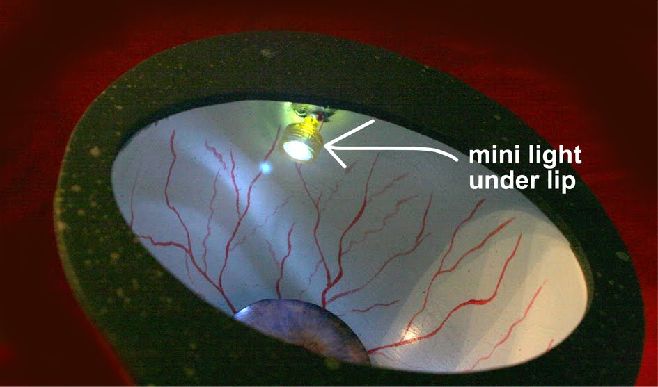 Do-It-Yourself Halloween Decoration How-To Tips: Being EYEd