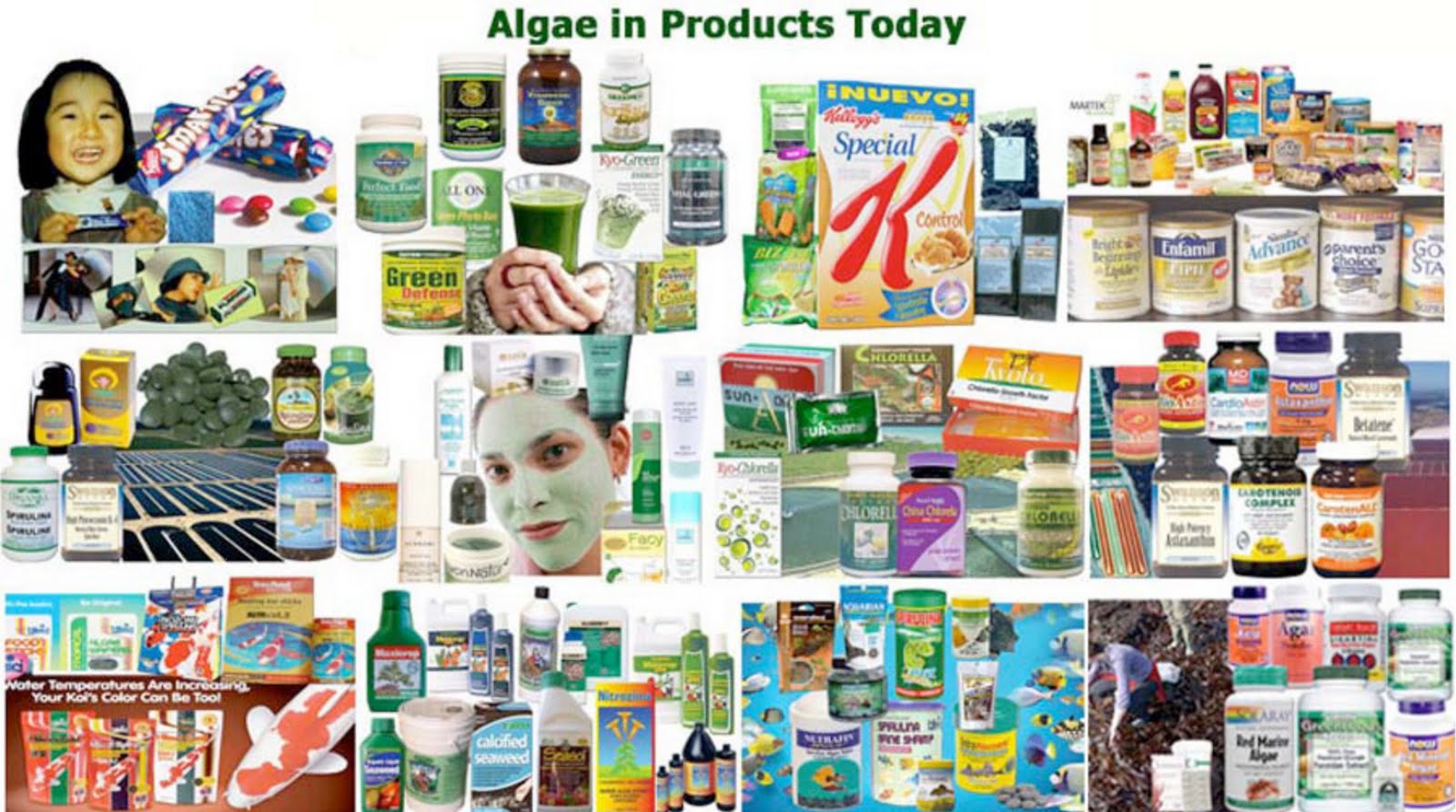 Al Fin Energy: Algae Is Already Big Business