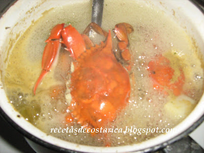 Cocina Costarricense: jaibas en caldo