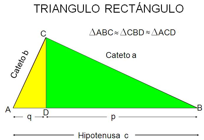 Teoremas de la Matemática: TEOREMA DE EUCLIDES