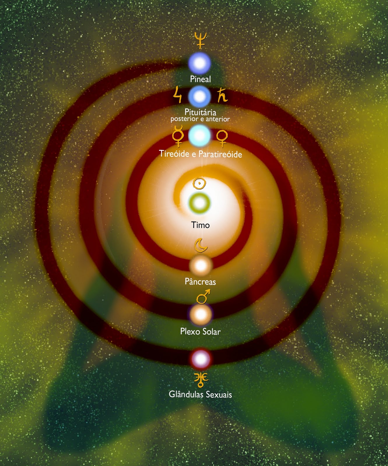 Portal do Conhecimento Divino: Rodney Collin - A Teoria da Influência ...