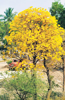 Twenty22-India on the move: Somewhere in Pimpri....