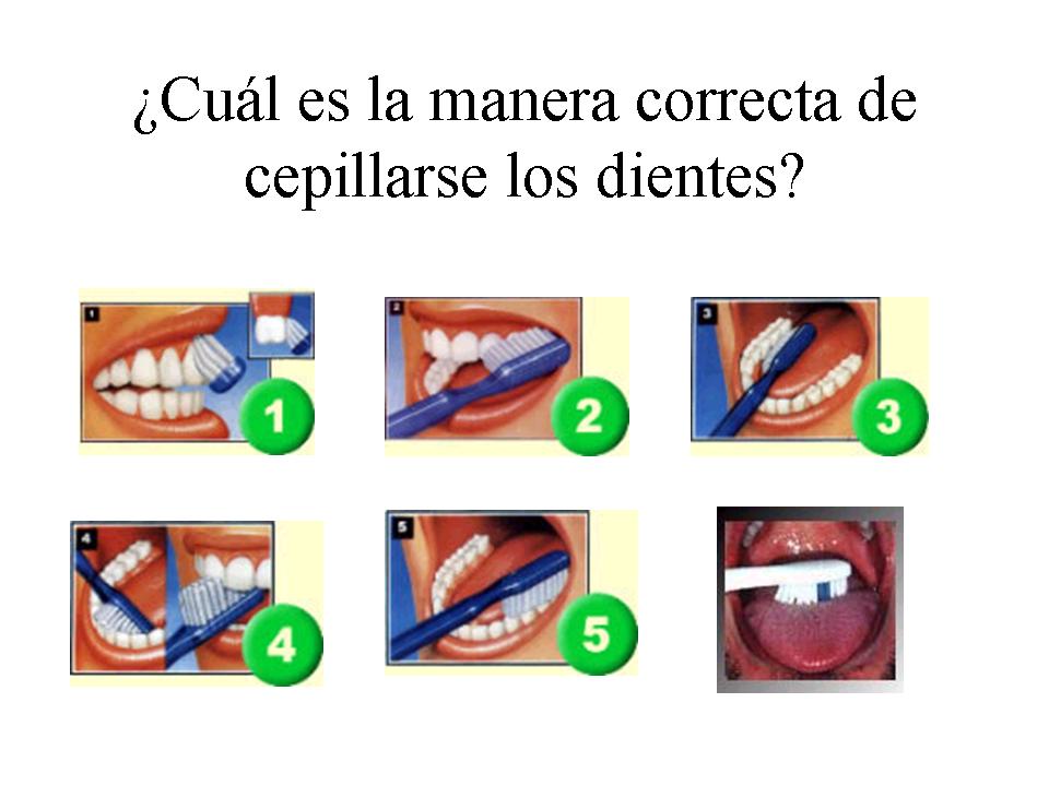 Cuidando sus dientecitos: ¿Cómo se deben cepillar los dientes?