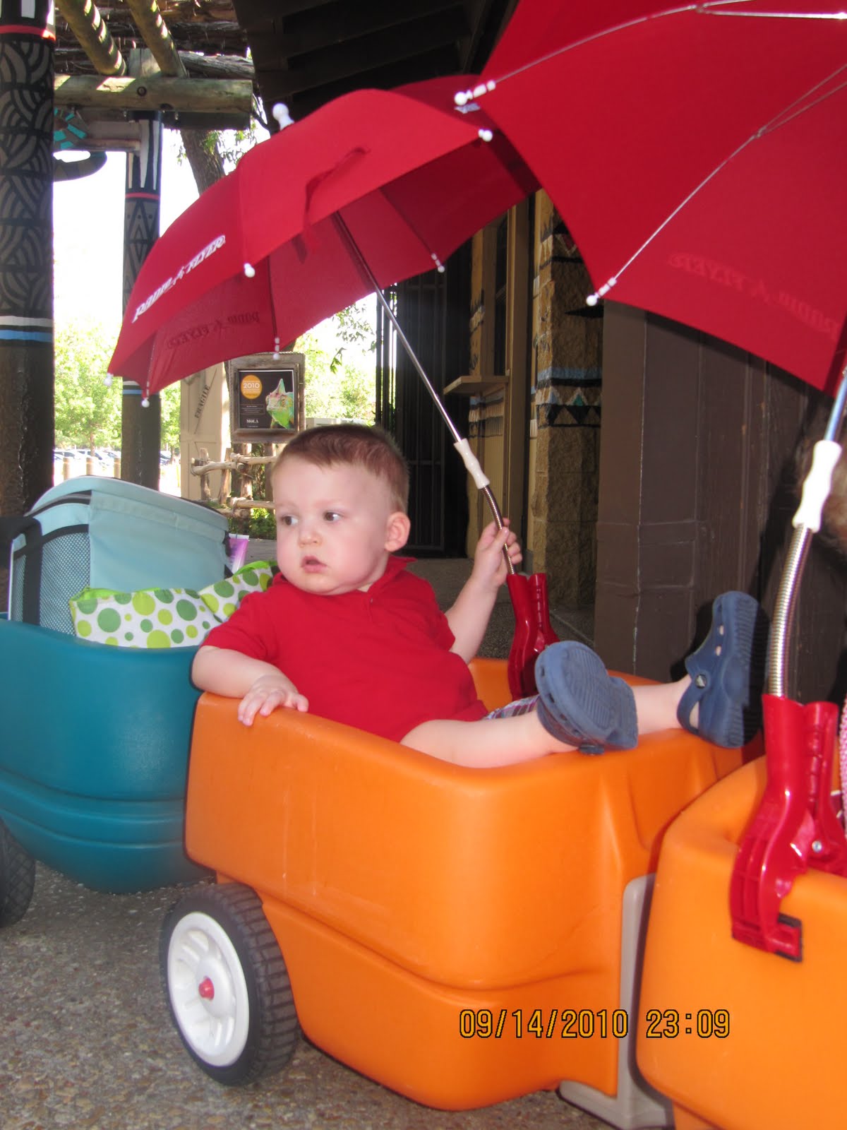 The Cox Quads: Twins Triplets & Quads - Oh My!