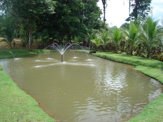 AgroExportec R.L.: ¿Desea participar en los EcoProyectos de la ...