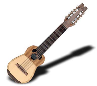 Cultura Tradicional Chilena: El rincón del Charango