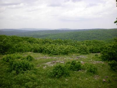 Running Wilder-in my dreams: 8th High Point MO-Taum Sauk Mt. 1772 ft