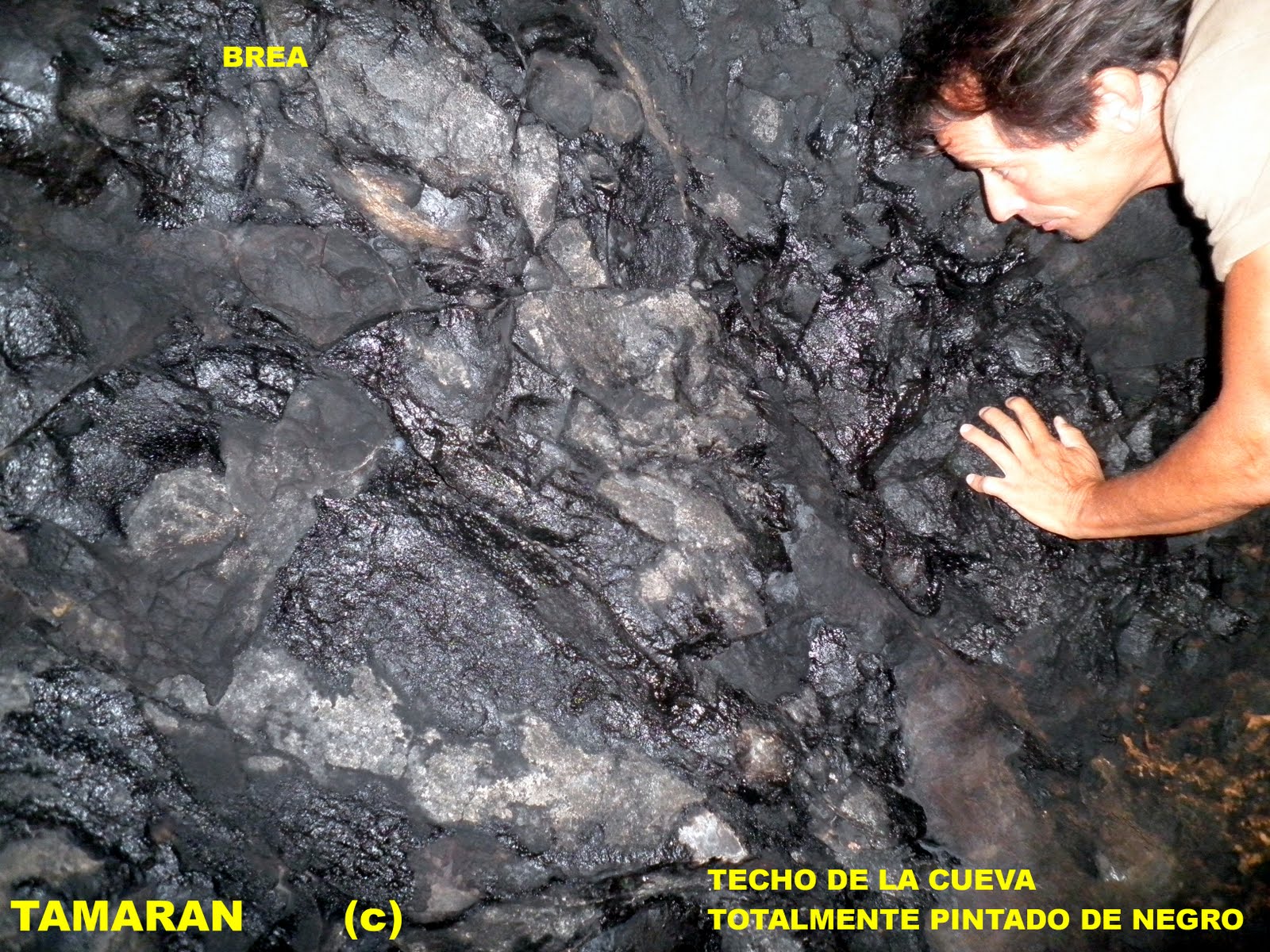 TAMARAN: JUNCAL DE TEJEDA - LOMO DEL HUMO TAMARAN - GRAN CANARIA