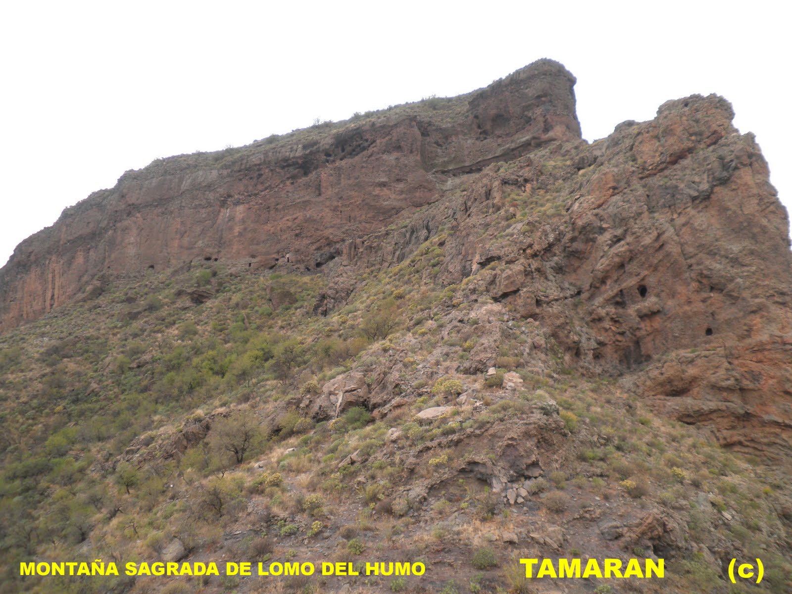 TAMARAN: JUNCAL DE TEJEDA - LOMO DEL HUMO TAMARAN - GRAN CANARIA