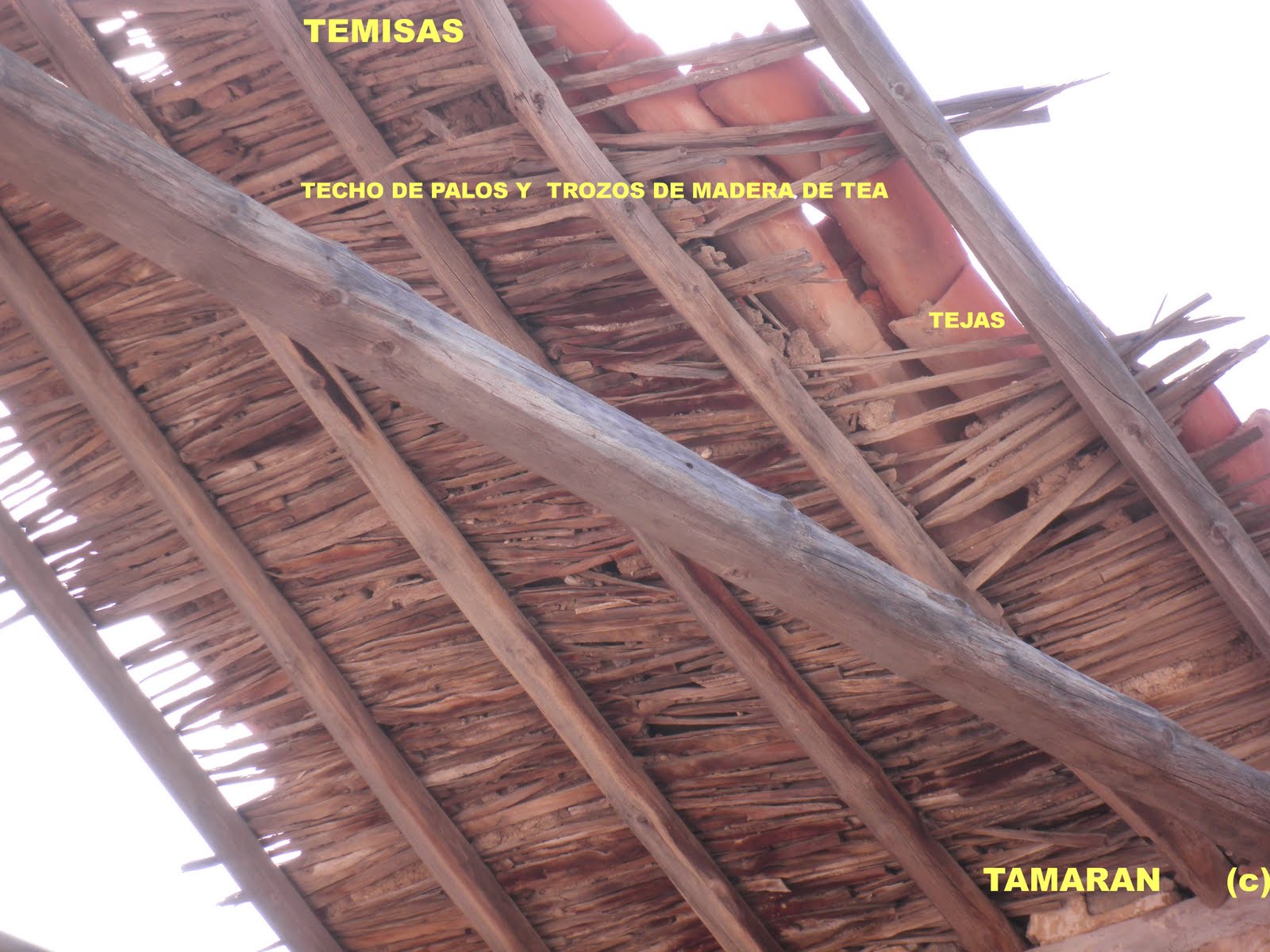 TAMARAN: TEMISAS DE TAMARAN - GRAN CANARIA