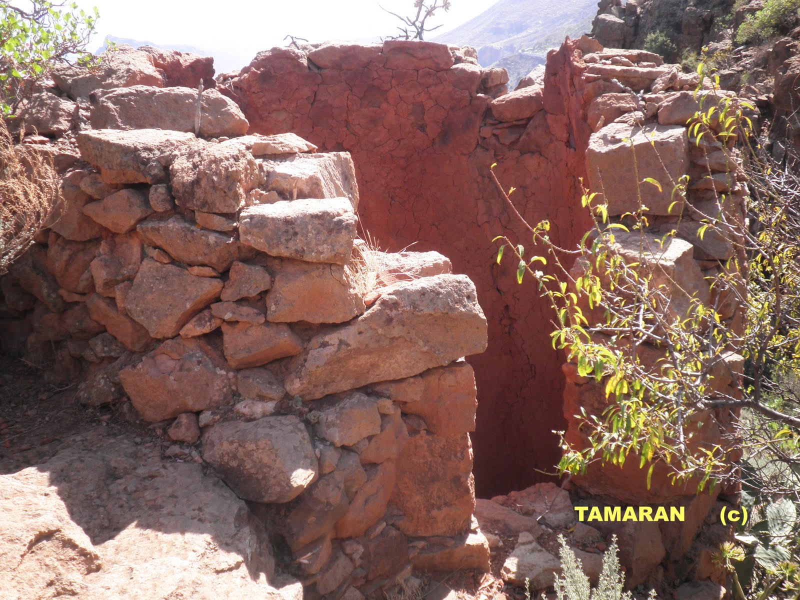 TAMARAN: TEMISAS DE TAMARAN - GRAN CANARIA