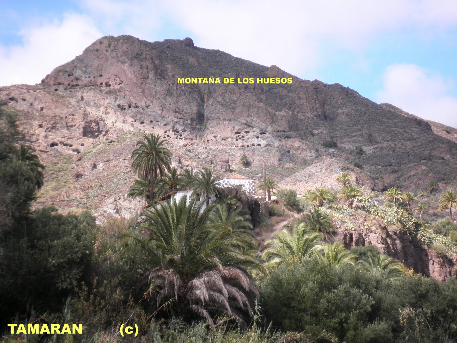 TAMARAN: TAIDIA DE TAMARAN - TIRAJANA