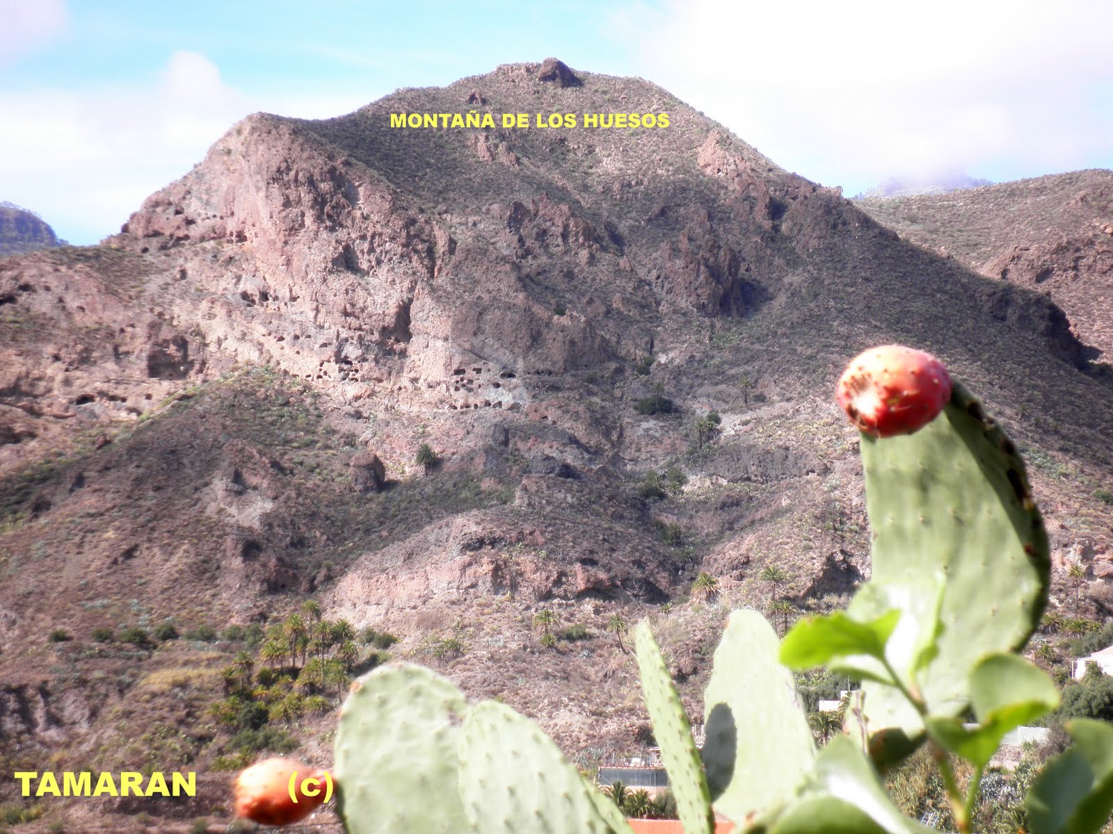 TAMARAN: TAIDIA DE TAMARAN - TIRAJANA