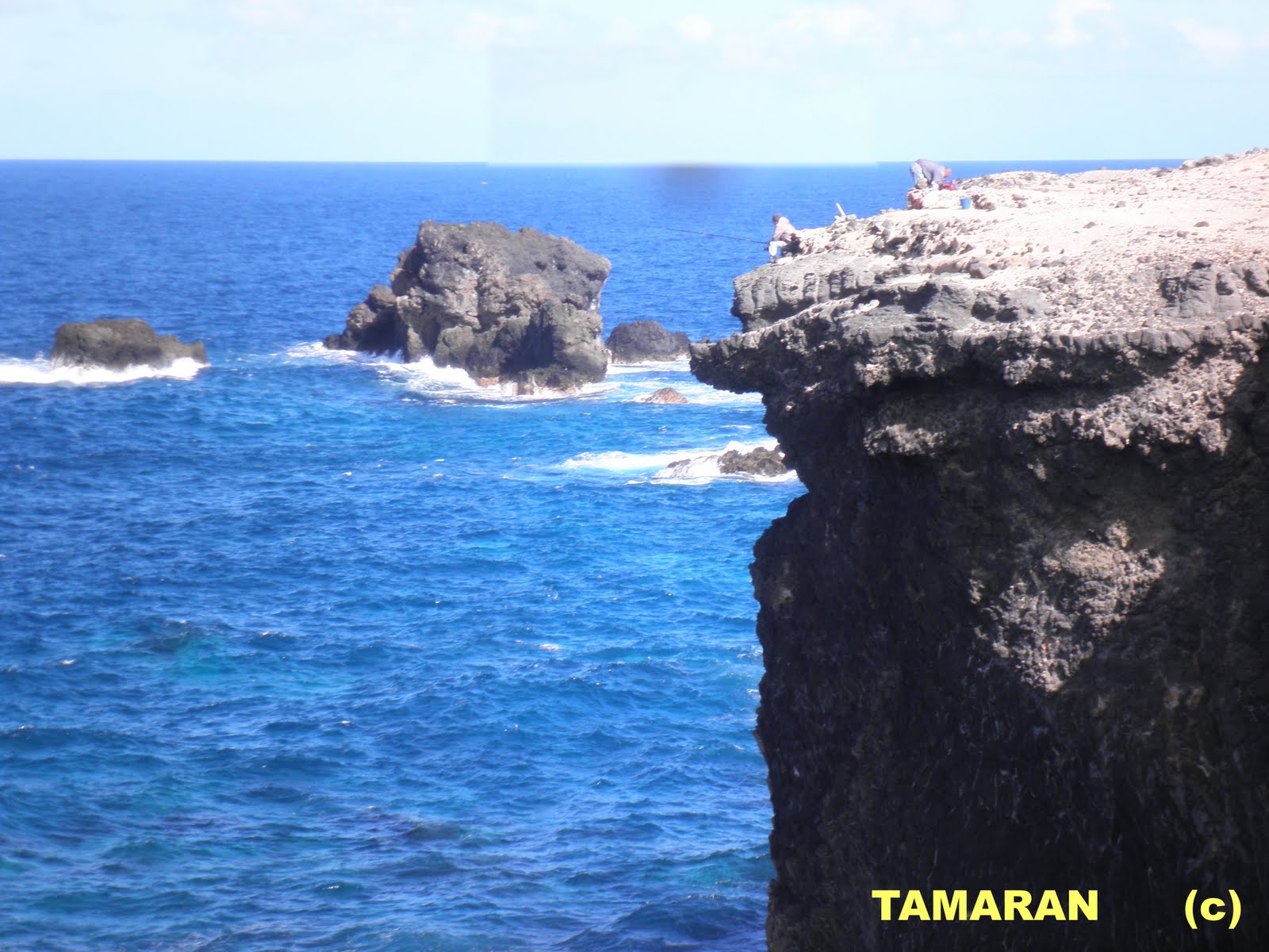 TAMARAN: GRAN CANARIA AZUL- TAMARAN