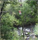turismo en pucon: canopy pucon