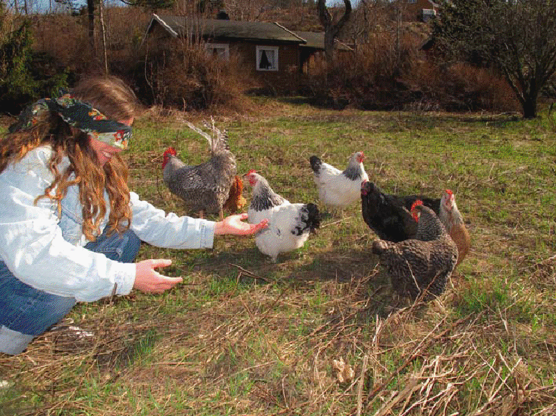 Marit og Runes bryllup