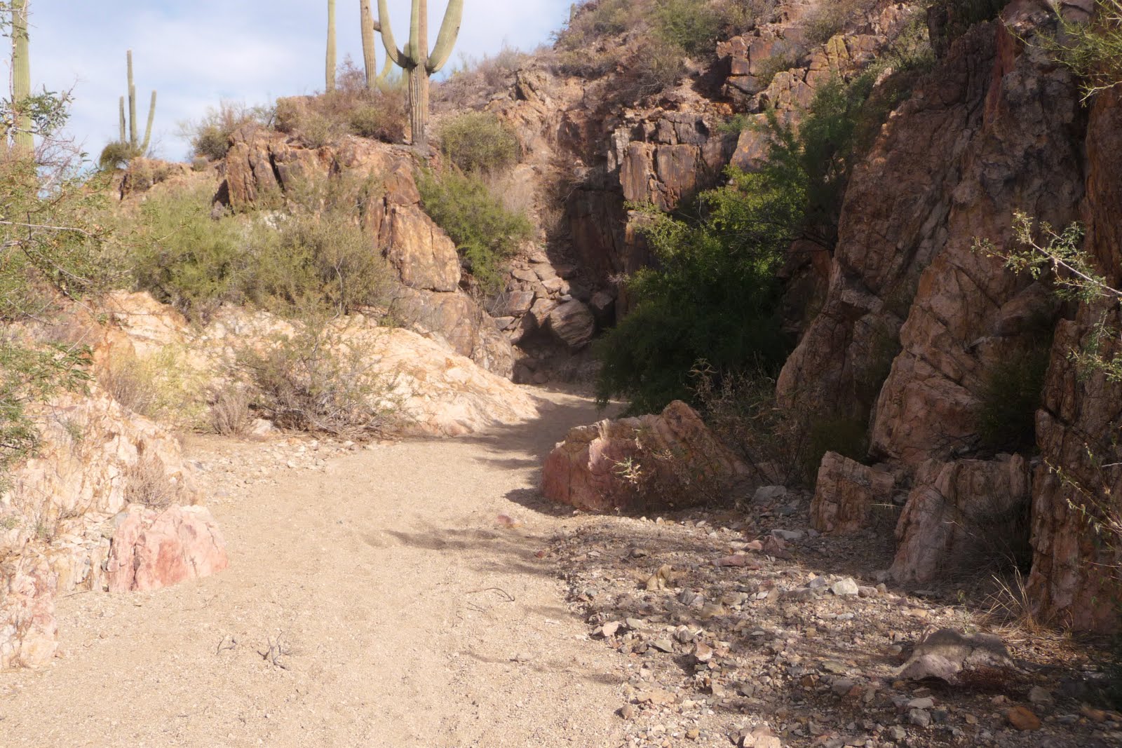 Sunnyarizona- walks and hikes: Hiking the Ironwood trail, and Picture ...