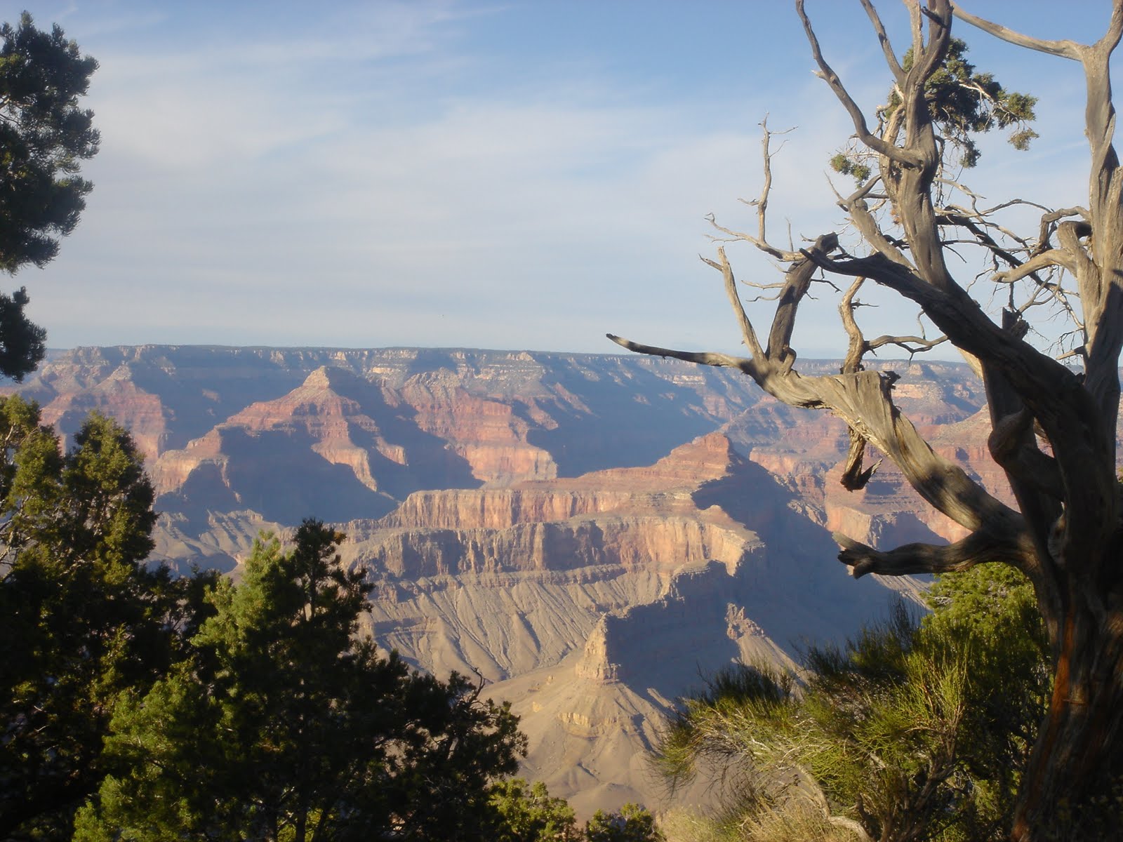 Banff Trail Trash: A Grand Canyon Adventure
