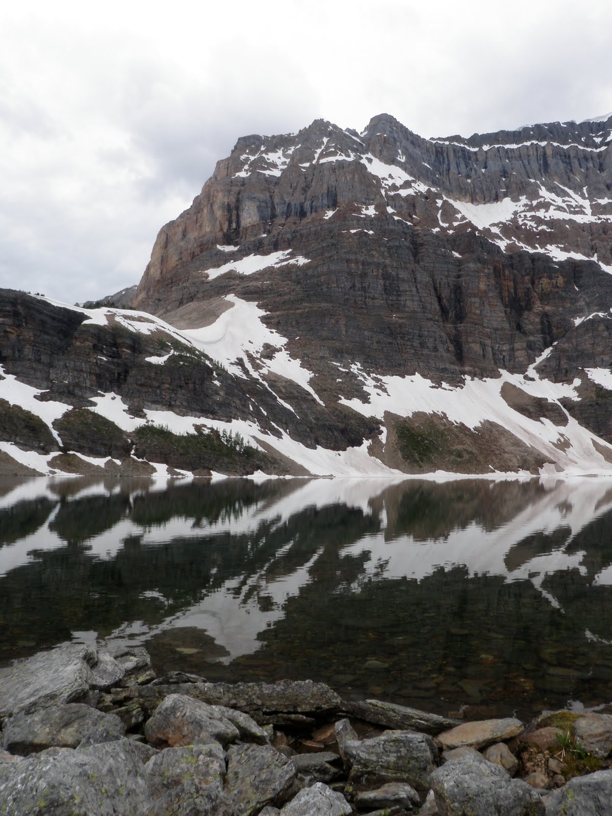 Banff Trail Trash: It's a Magical, Mystical World