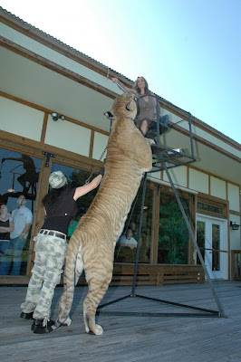 In Love of Animals, animal information, animal blog, animal blogs ...