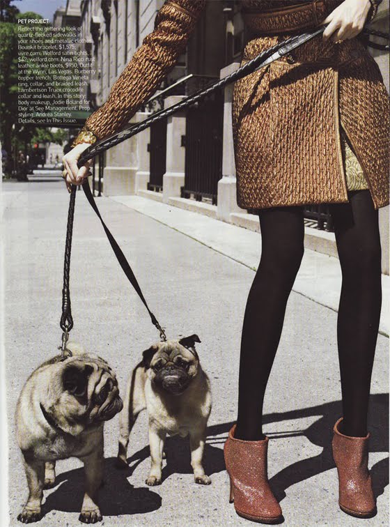 Style Redux: More Dogs in Vogue