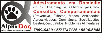 Alpha Dog Comportamento e Adestramento