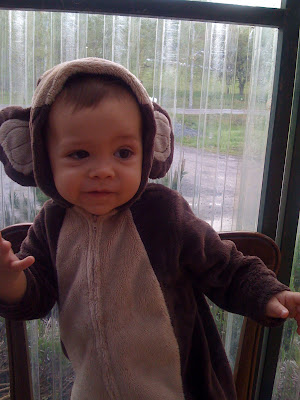 life according to pasquale: little monkey man