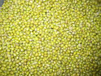 Ganti Vari Vantalu: Green Gram(Pesalu) salad