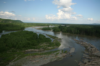 Flyfishing Russia: Good size Siberian taimen with a fly, Tugur River ...