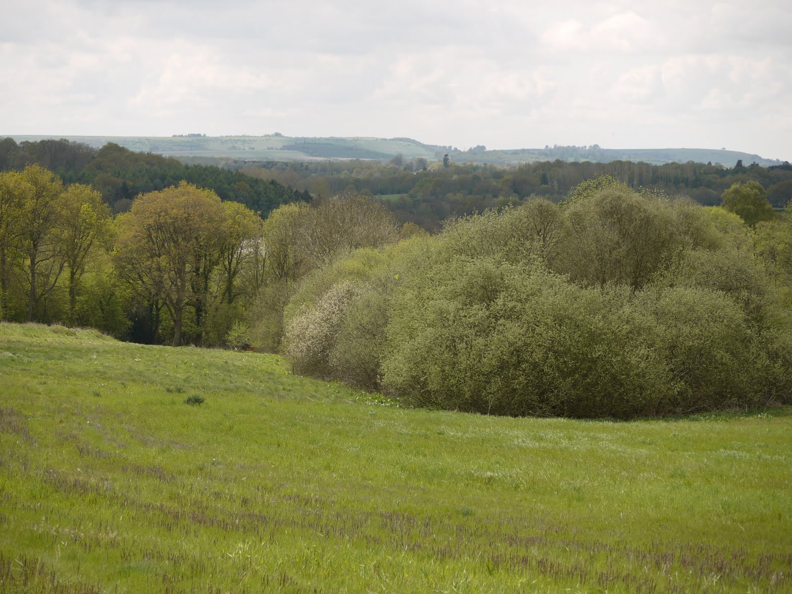 Walking in the country: Thatcham and the River Enborne