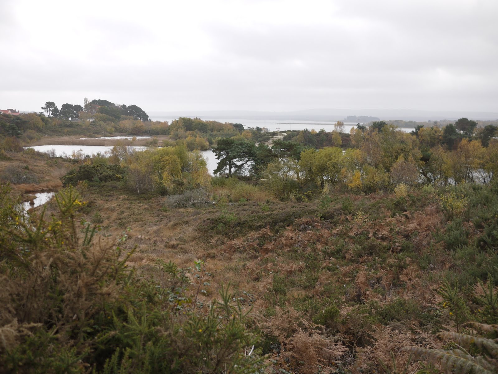 Walking in the country: Turlin Moor to Poole Quay