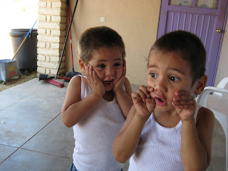 vida y esperanza: Our New Tag Team: Pepe y Limón