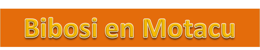 BIBOSI EN MOTACU: Flor del motacú, Attalea phalerata Mart. ex. Spreng