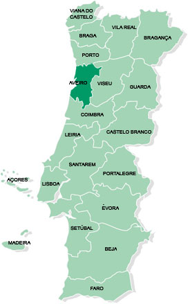 Aveiro: A Veneza Portuguesa: O Distrito de Aveiro...